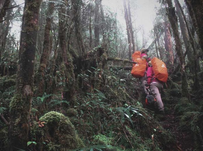 Gunung Rore Katimbu, Sulawesi Tengah – Kilas Balik Ekspedisi 28 Gunung ...