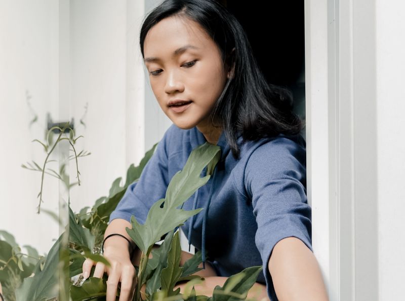 7 Cara Berkebun di Halaman Rumah yang Sempit, Ada Tekniknya - Blog