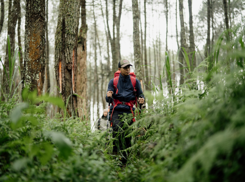 9 Ide Pose Keren di Gunung yang Bikin Fotomu Lebih Hidup