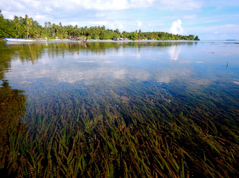 17 Taman Laut Terindah di Indonesia, Jadi Spot Diving Favorit!