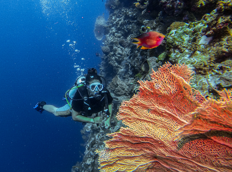 17 Taman Laut Terindah di Indonesia, Jadi Spot Diving Favorit!