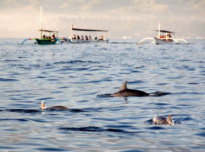 17 Taman Laut Terindah di Indonesia, Jadi Spot Diving Favorit!