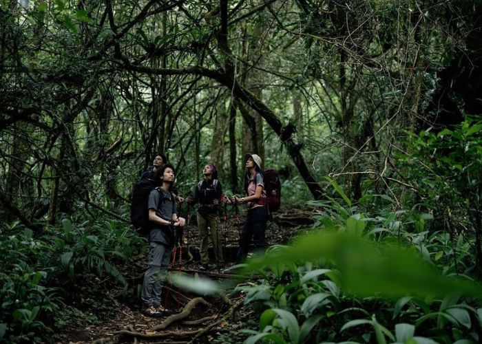 Daftar Gunung di Sumatera yang Cocok untuk Pendakian