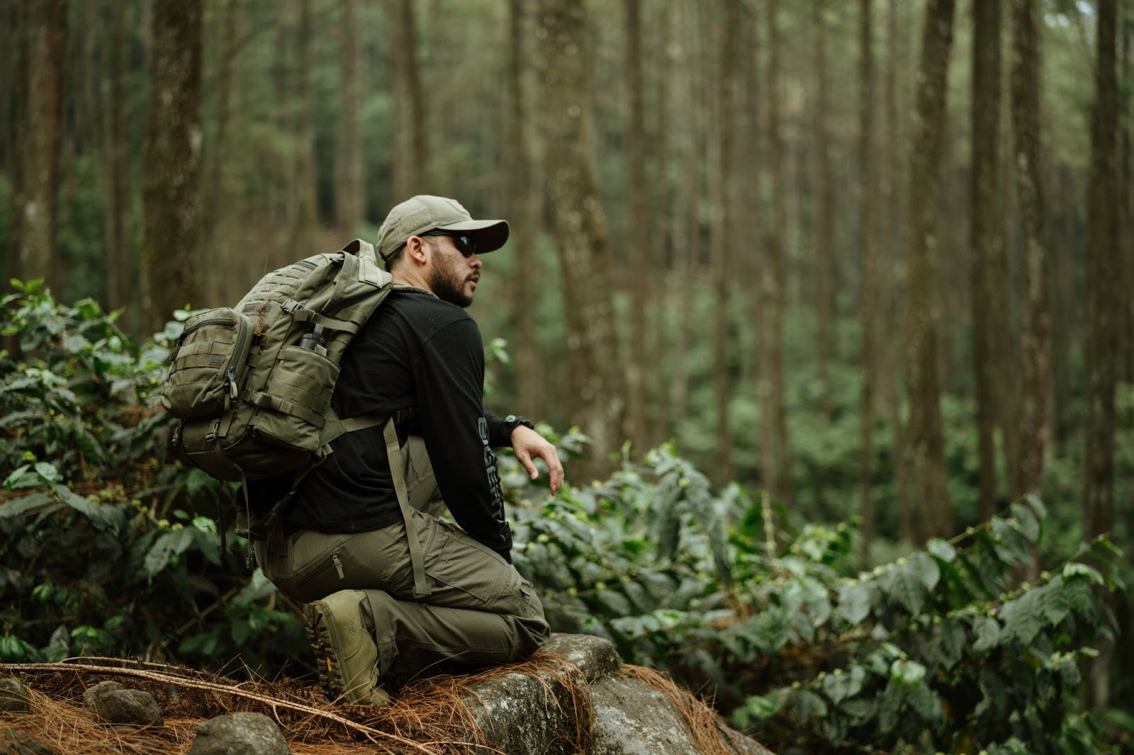 Ciri-Ciri Hutan Hujan Tropis & 9 Tips Aman Eksplorasi Hutan