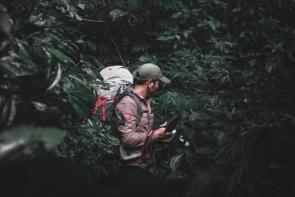 Pendakian Gunung Marapi Sumbar: Jalur Trek & Hal-Hal Penting
