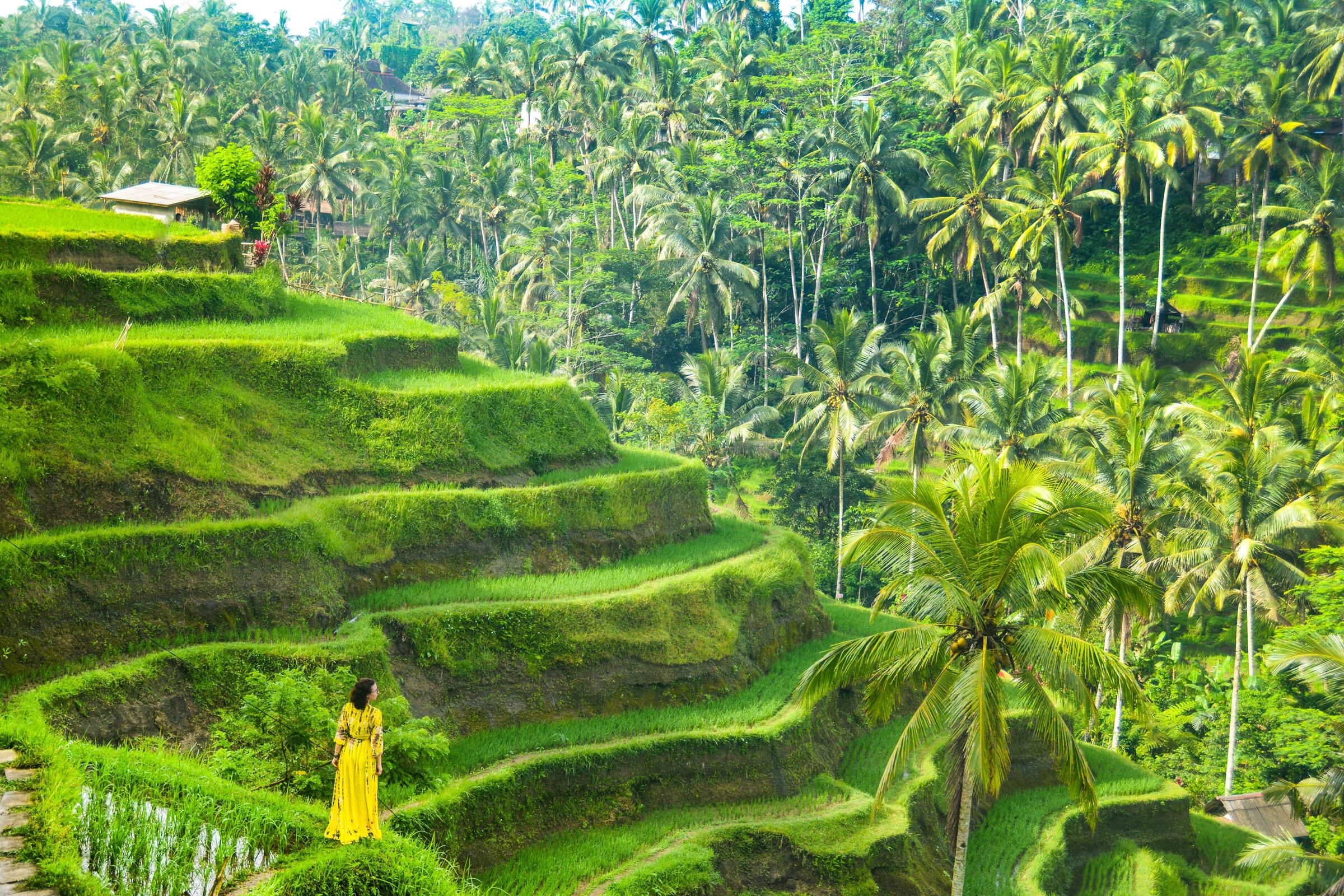 4 Rekomendasi Lokasi Kece Ubud Hiking, Jelajah Bersama EIGER