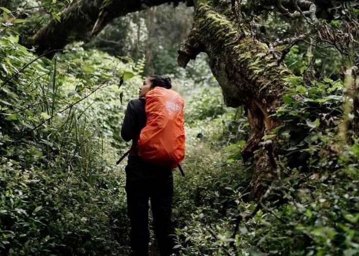 Pendakian Gunung Leuser: 7 Tantangan yang Harus Dihadapi