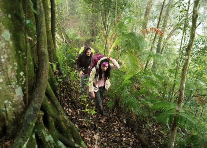 Jalur Pendakian Gunung Ungaran via Perantunan yang Populer