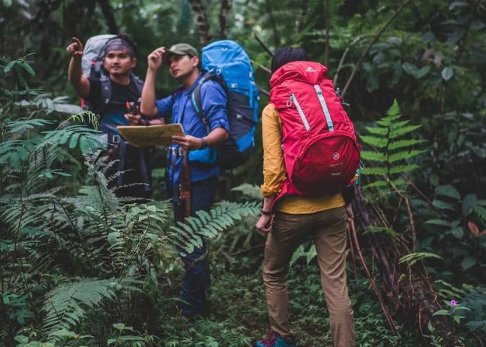 Pertama Kali Mendaki Gunung, Apa Itu Mepo? Cari Tahu, Yuk!