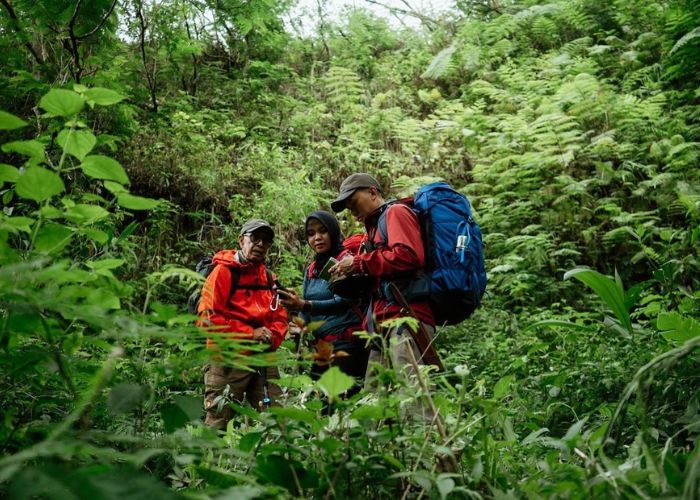 Pertama Kali Mendaki Gunung, Apa Itu Mepo? Cari Tahu, Yuk!