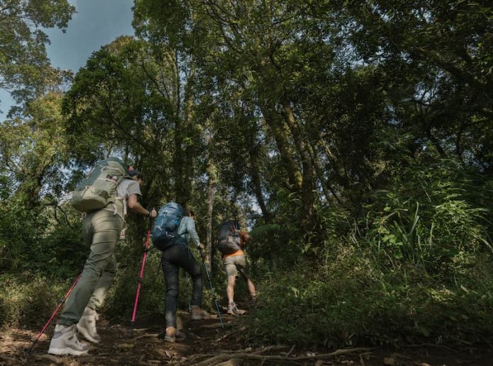 Gunung Ungaran: Jalur Pendakian, Daya Tarik, dan Faktanya