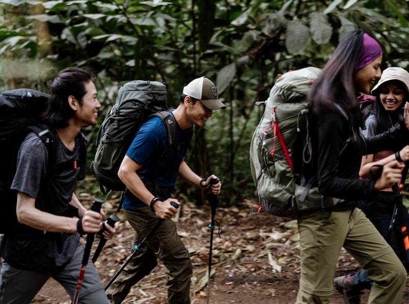 Mengenal Jalur Trekking Cisadon: Ramah Pemula & Dekat Ibukota